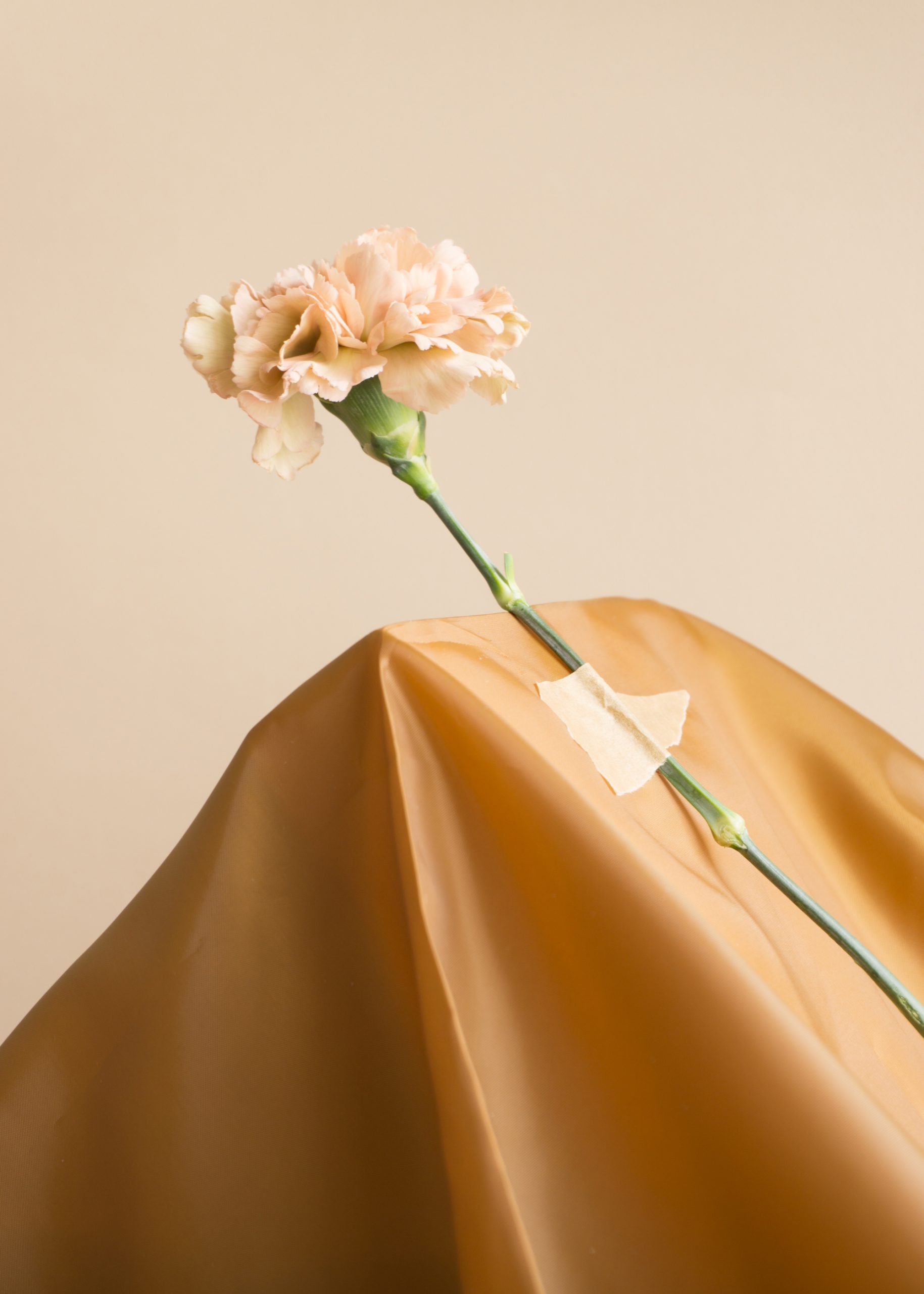 Cream Project | Los Objetos Decorativos